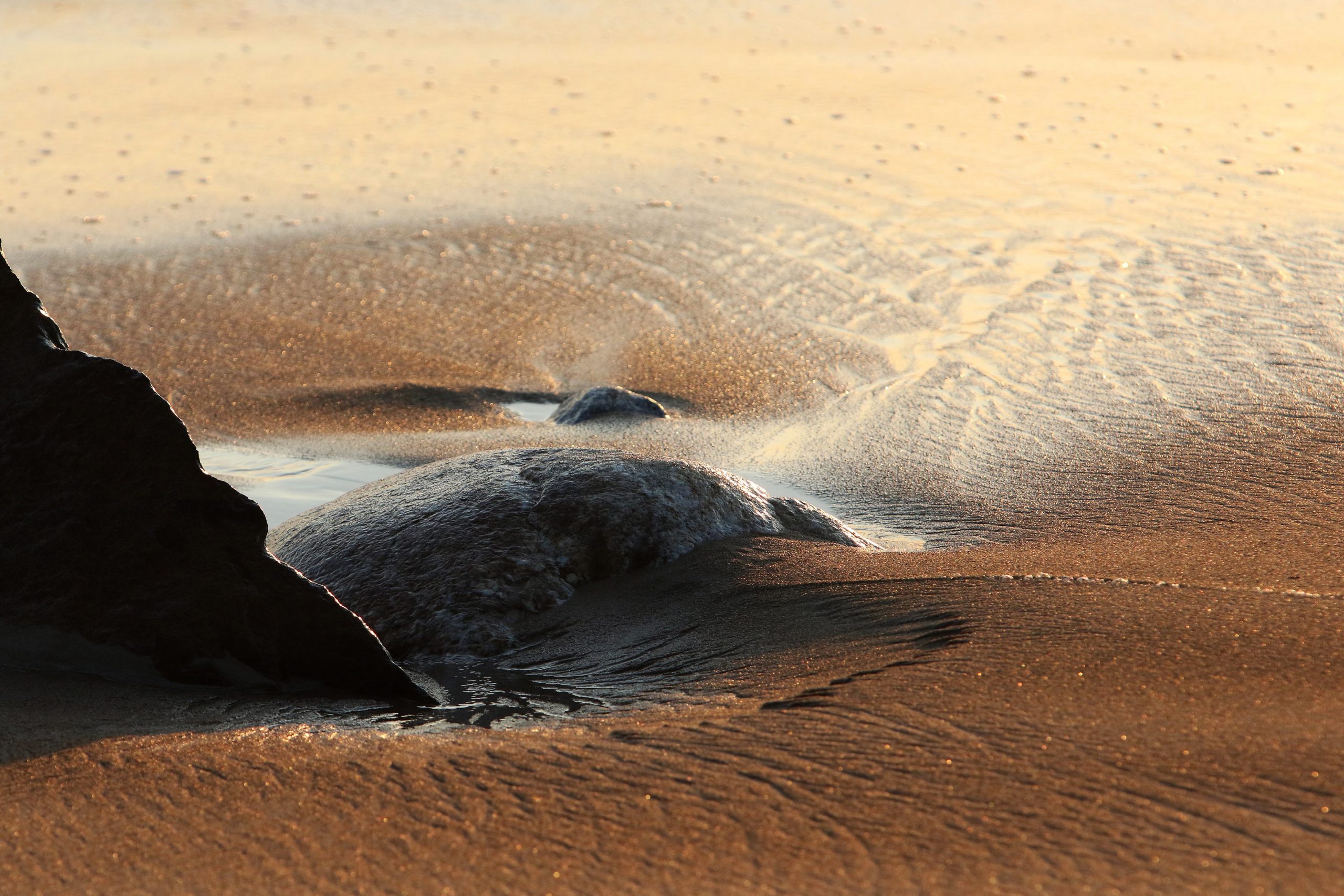 Close up surface of sand on the beach in the Hampton Beach - Beach ...