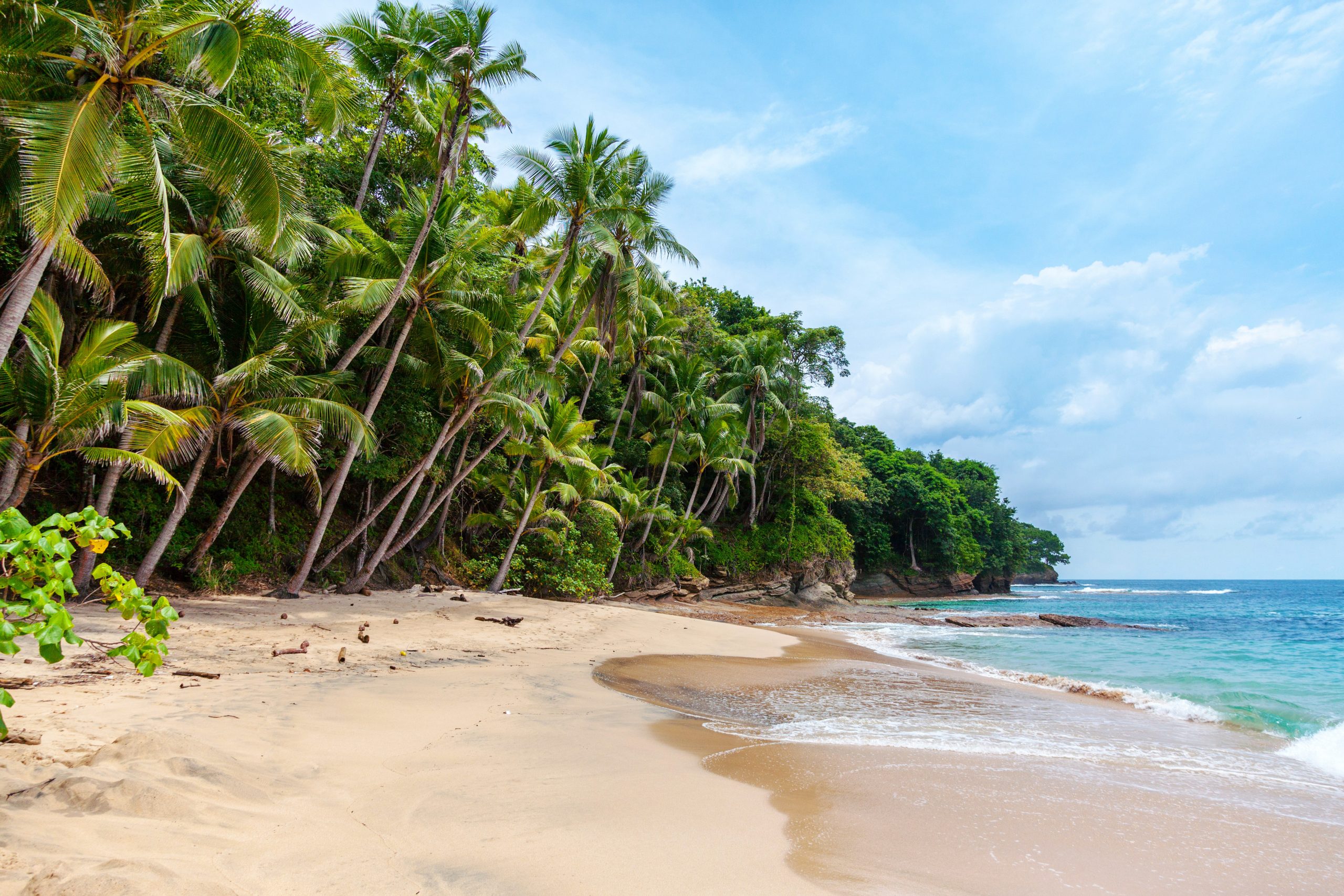 Landscape wallpaper of seashore in Playa Blanca, Saboga, Panama - Beach ...