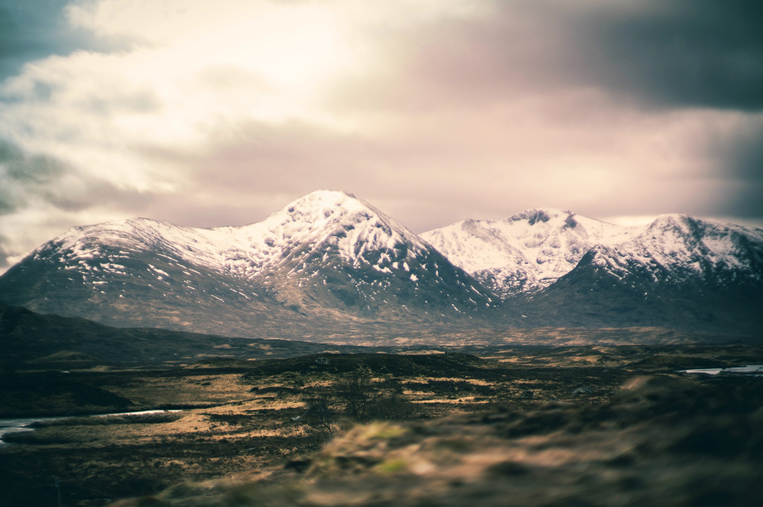 Preserved nature and beautiful wildlife in Loch Ossian and Rannoch Moor ...