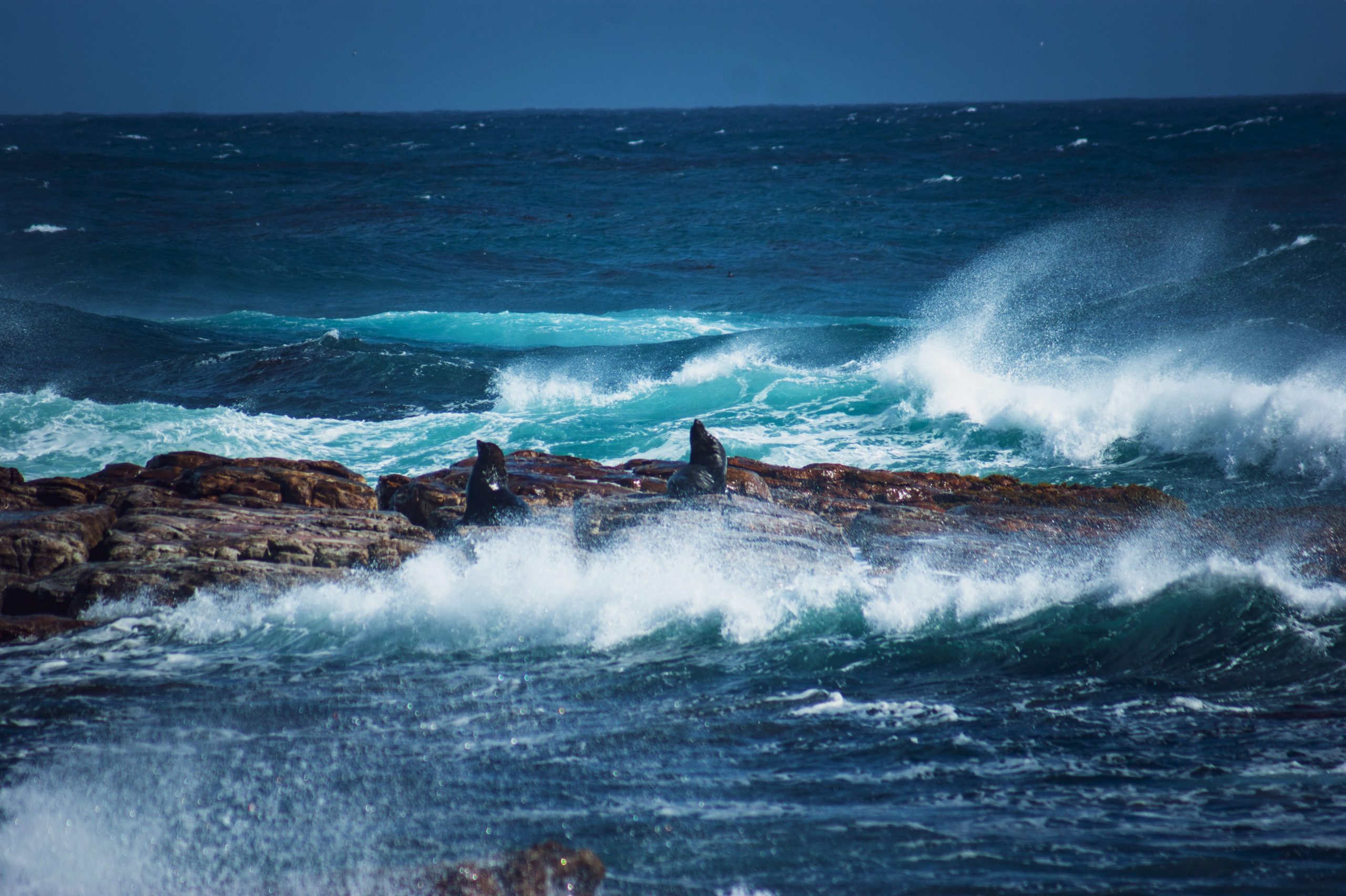 Cape Point Wallpaper