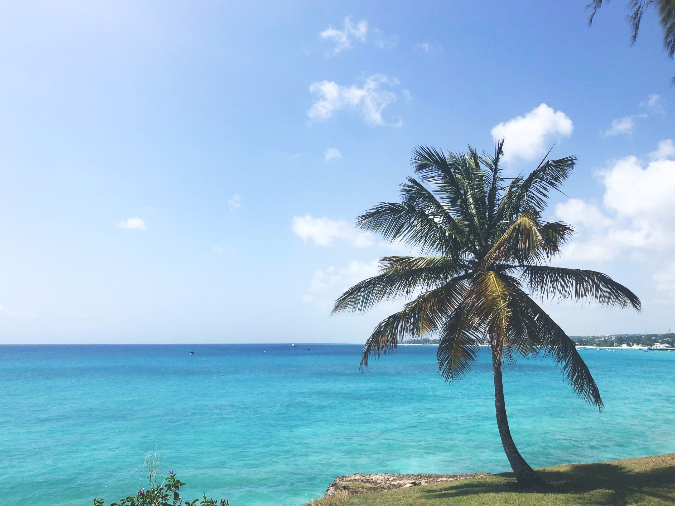 Turquoise waters and clear skies at Miami Beach, Barbados - Beach ...